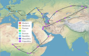 DNA SNP Tracker – GoldenGenealogy.com