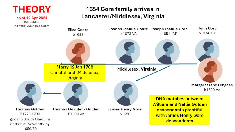 Ancestry DNA: Possible Golden or Golding kin? Can help search through ...